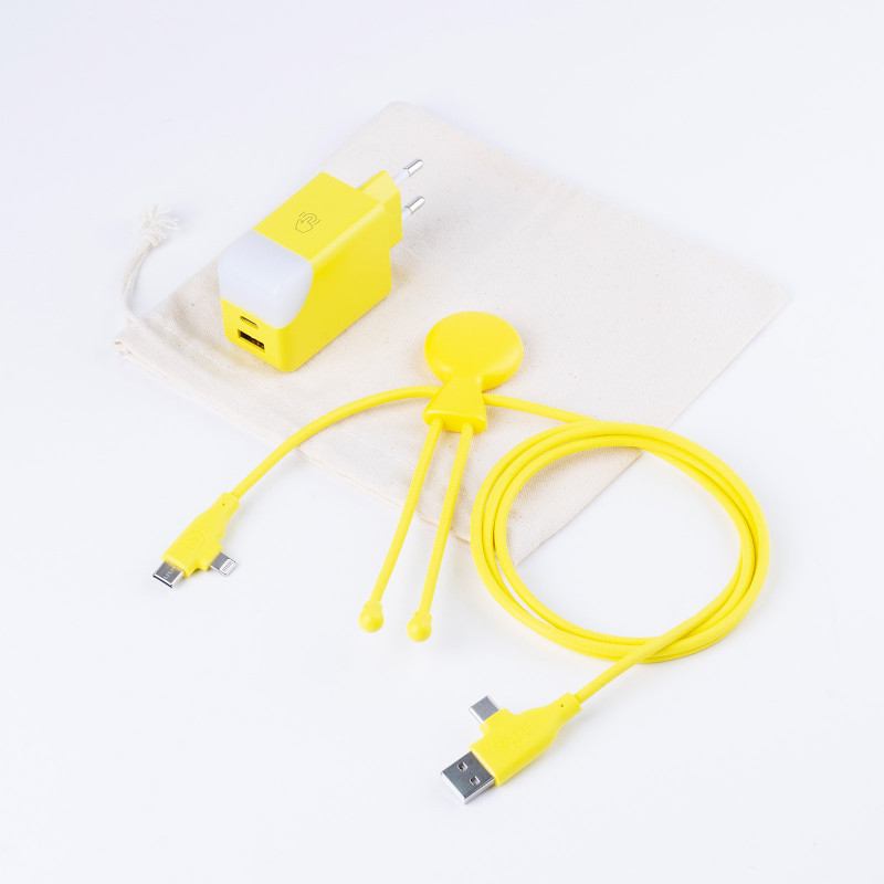 Pack câble Mr Bio Long Fast 60W et prise Ice Gan Xoopar® COULEUR Blanc